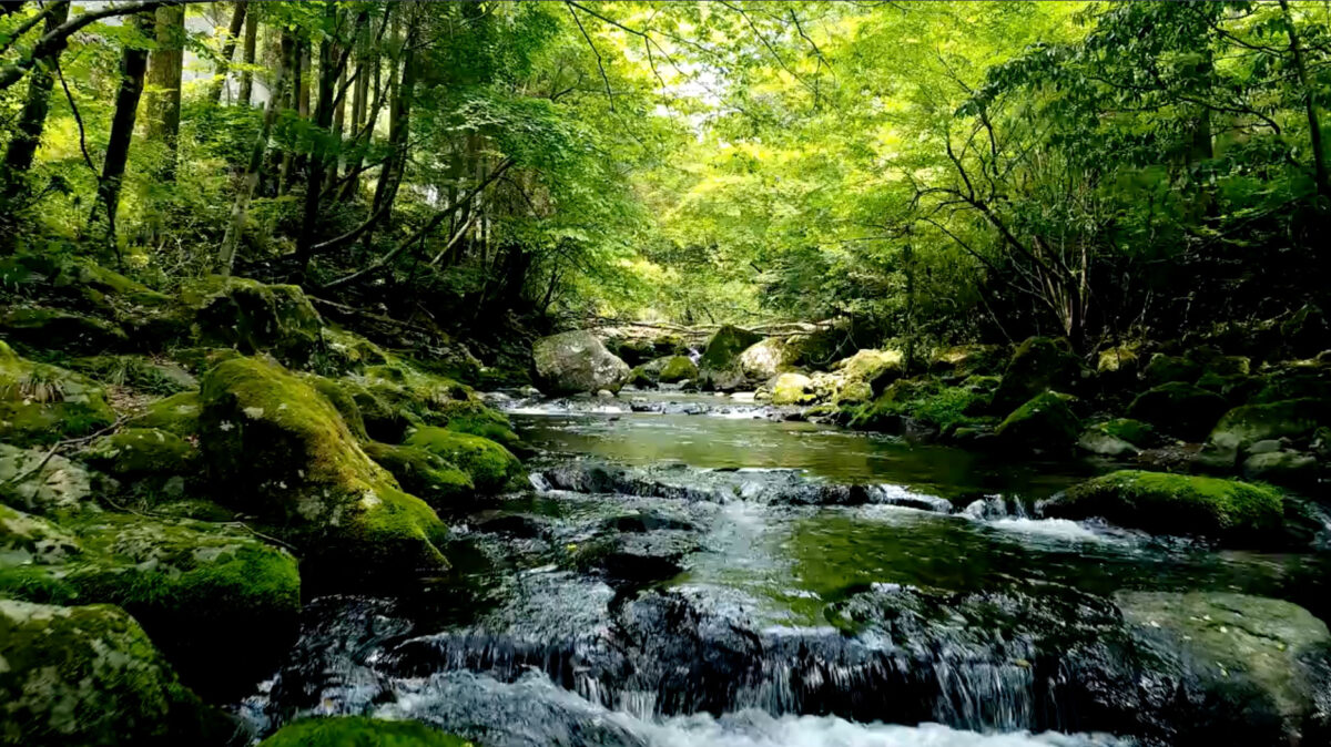 EPA Testing Methods - Summit Environmental Technologies